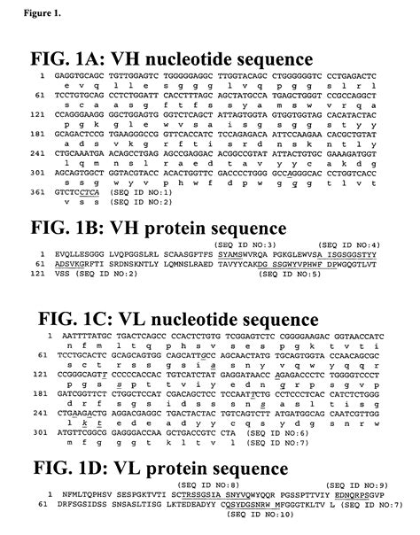 Anti Interferon Gamma Antibodies And Methods Of Use Thereof Eureka Patsnap