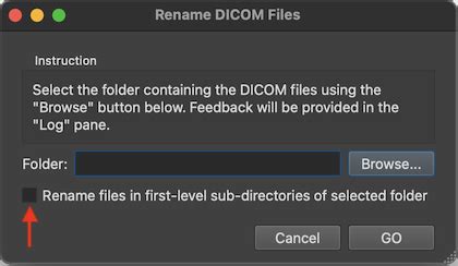 From DICOM Files To Documents