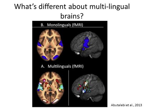 Bilingual Brain Vs Monolingual Brain
