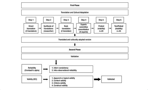 Translation Cultural Adaptation And Validation Processes Download