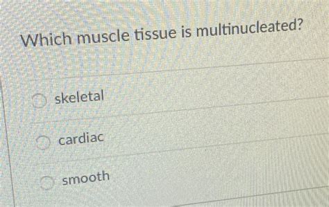 Solved Which Muscle Tissue Is