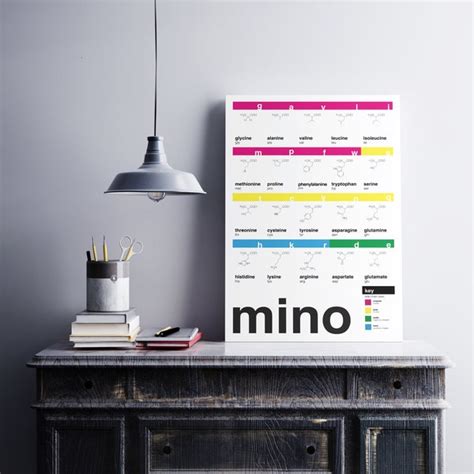 Amino Acids Poster Etsy