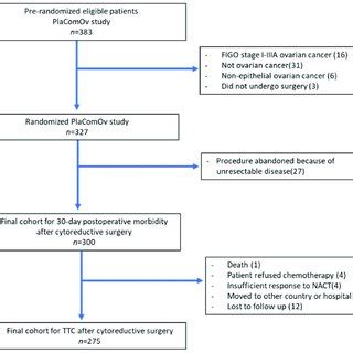 Study Flow Diagram FIGO International Federation Of Obstetrics And Download Scientific