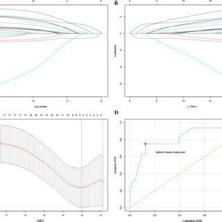 Demographic And Clinical Feature Selection Using The LASSO Binary