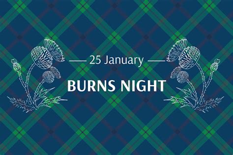 번즈 밤 저녁 식사 카드 타탄 배경에 엉겅퀴 번즈 나이트 스코틀랜드의 공휴일 초대 포스터 전단지 배너 등을 위한 템플릿 태우기에 대한 스톡 벡터 아트 및 기타 이미지