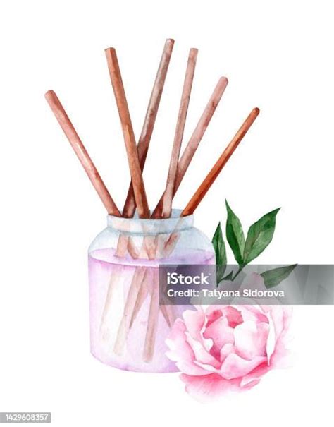 모란 꽃 아로마 액체는 막대기가있는 유리 병에 담겨 있습니다 손으로 그린 수채화 그림 방향제 청소장비에 대한 스톡 벡터 아트 및 기타 이미지 방향제 청소장비 병 유리