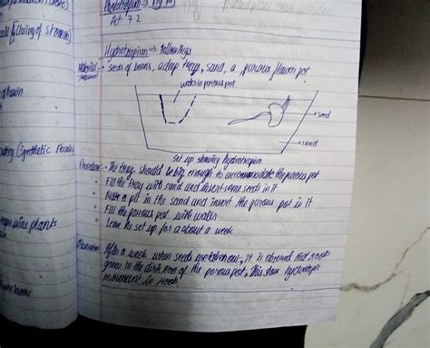 Describe An Experiment To Demonstrate Hydrotropism