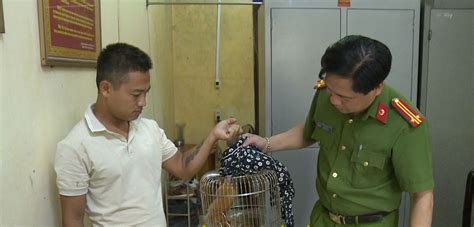 C Nh S T B T Qu Tang I T Ng V N Chuy N Con Cu Li Nh