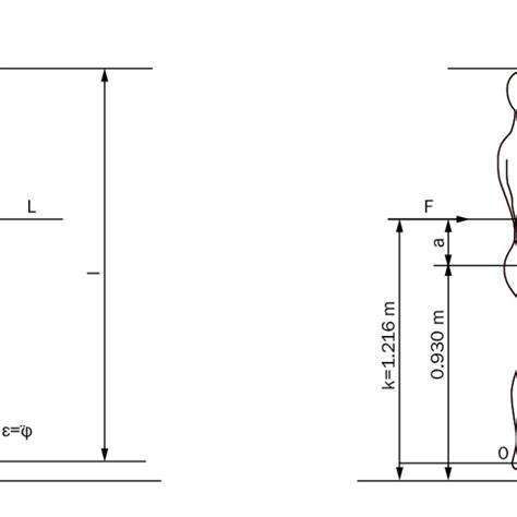 Simplified Human Body Model To Calculate Inertia Moment And Dimensions Download Scientific