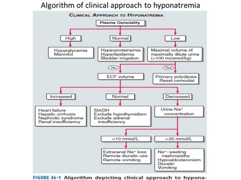 Approach To A Patient With Hyponatremia Ppt Video Online Download