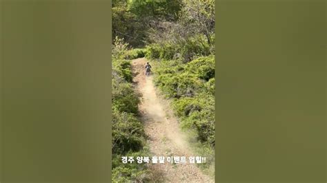 경주 양북돌밭 이벤트 업힐 엔듀로 듀얼바이크 Ktm790adventure 허스크바나701 Youtube