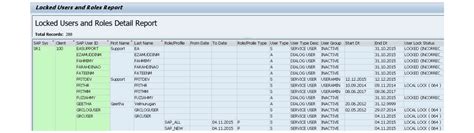 Customized SAP User Lock Management Auditbot