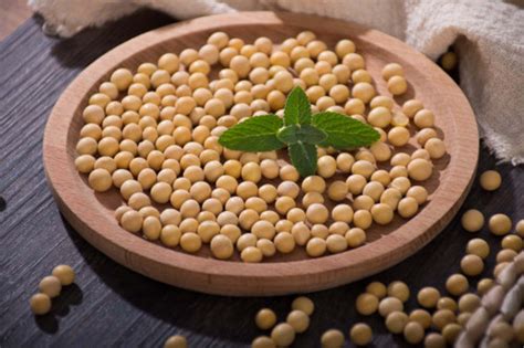 北方黄豆种植时间和技术 狐狸资源网 专主资源与福利收集分享的一个平台