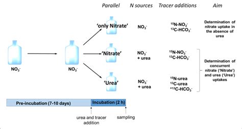 Schematic Representation Of The Experimental Design A Single