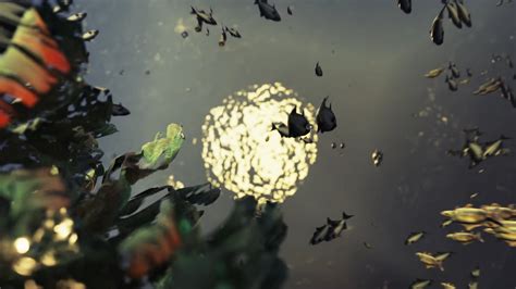 Fish Swarm Done With A Particle System And Some Force Fields Rblender Fish Swarm Done With A Particle System And Some Force Fields Rblender