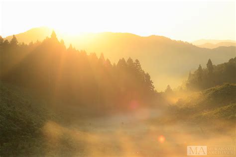 1 Fの揺らぎ 神々の創造物02 写真家・村上宏治オフィシャル・ストックフォト