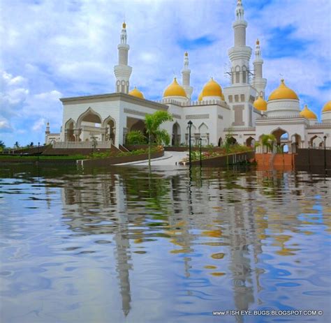 Eye Bugs Sultan Hassanal Bolkiah Palace Cotabato City