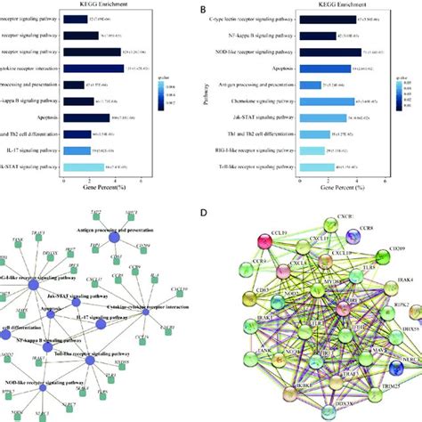 A Mirna Mrna Regulatory Network Of Immune Related Degs B