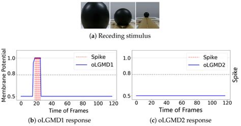 Biomimetics Special Issue Bio Inspired And Biomimetic Intelligence In Robotics 2nd Edition