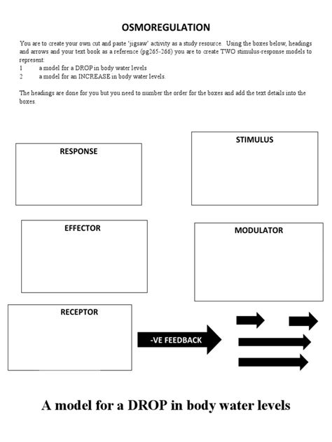 Osmoregulation Homeostasis Cut And Paste Activity Pdf
