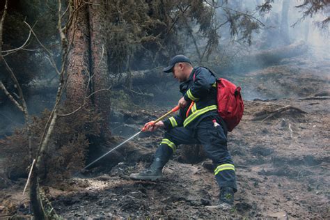 ლენტეხში ტყეში გაჩენილ ხანძარს მეხანძრეები უკვე 19 საათია ებრძვიან • ლენტეხი • ხანძარი