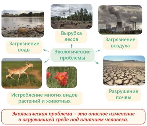 2 21 Почему надо бережно относиться к окружающей среде Атамұра