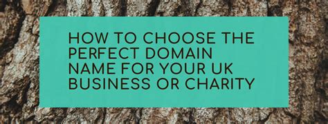 How To Choose The Perfect Domain Name The Smart Bear Websites