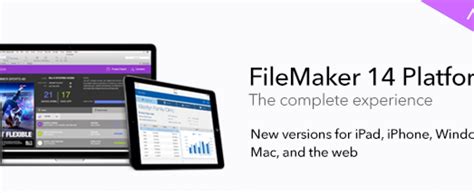 What A Filemaker™ System Can Do For A Business Filemakerprogurus