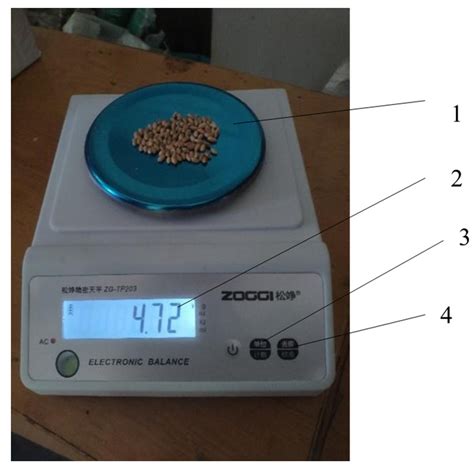 Agriculture Free Full Text Wheat Seed Phenotype Detection Device And Its Application