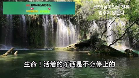45생명살아있는 것은 멈추지 않는다영어중국어일본어스페인어 4개국어 한마디 동시 학습 반복 학습유투브영어유투브중국어유투브일본어유투브스페인어유투브외국어