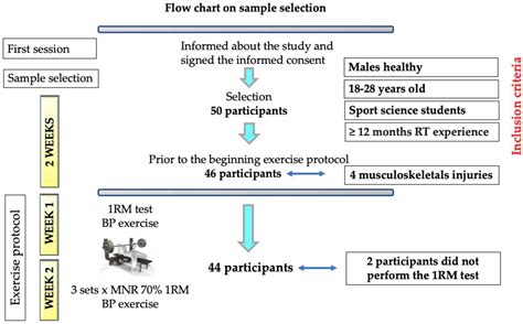 Neuromuscular Junction Flow Chart