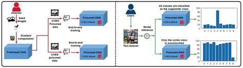 Nsf Career Project