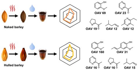 Key Odorants In Japanese Roasted Barley Tea Mugi Cha Differences