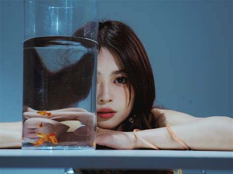 걱정 없는 고요한 관념적인 구성 금붕어 눈길을 끄는 무드 조명 묵상 물 물고기 미니멀리스트 반사 반사된