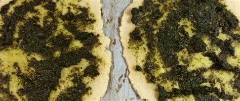 Aip Pesto Flatbread Living Lovely Autoimmune