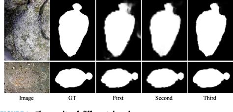 Figure 1 From Detecting Camouflaged Objects Via Multi Stage Coarse To Fine Refinement Semantic