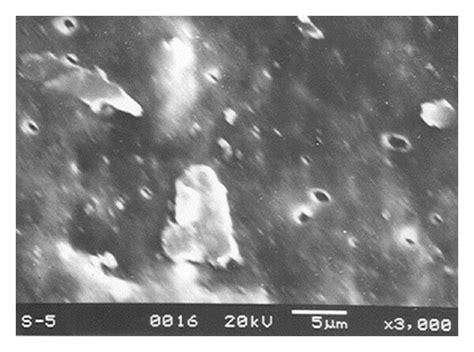 Scanning Electron Micrographs Showing The Various Stages Of Experiments Download Scientific