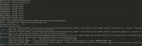 Rasa Bot Is Not Working In Localhost Url Rasa Open Source 2024 12 09