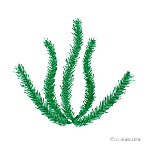 水草イラストのフリー素材｜イラストイメージ