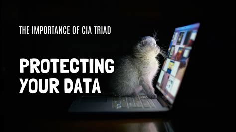 Cia Triad Confidentiality Integrity And Availability
