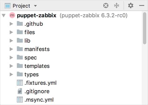 Puppet Rubymine Documentation