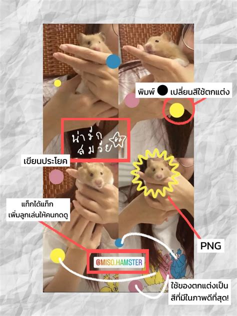 ไอเดียแต่งสตอรี่ไอจีน้อยแต่มาก ꔛ Ideas Ig Story 📱 แกลเลอรีที่โพสต์โดย Norra🐈‍⬛ Lemon8