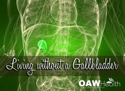 Living Without A Gallbladder Oawhealth Bonne Sante Santé