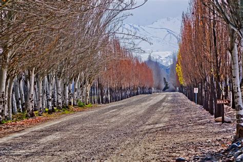 Bert Classifier Just Another Pytorch Model Towards Data Science