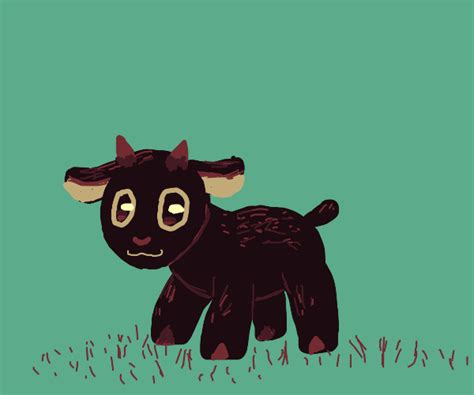 Wooloo Without Wool Drawception