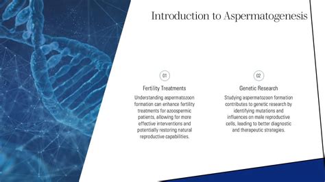 Aspermatogenesis Ppt Sample Acp Ppt Slide