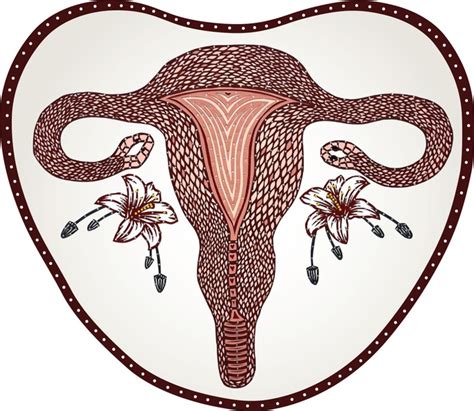 Radical Red Table Wine Art Science Llc Cider Vinoshipper