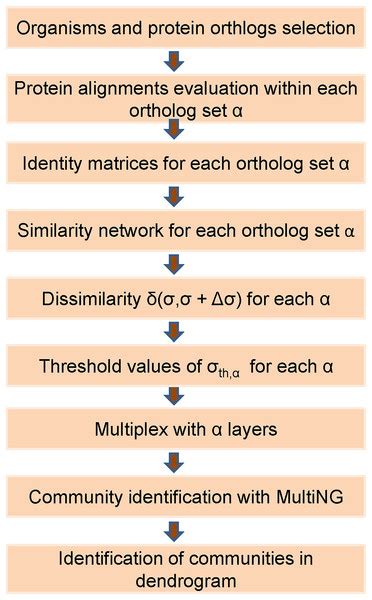on the origin of mitochondria a multilayer network approach [peerj]