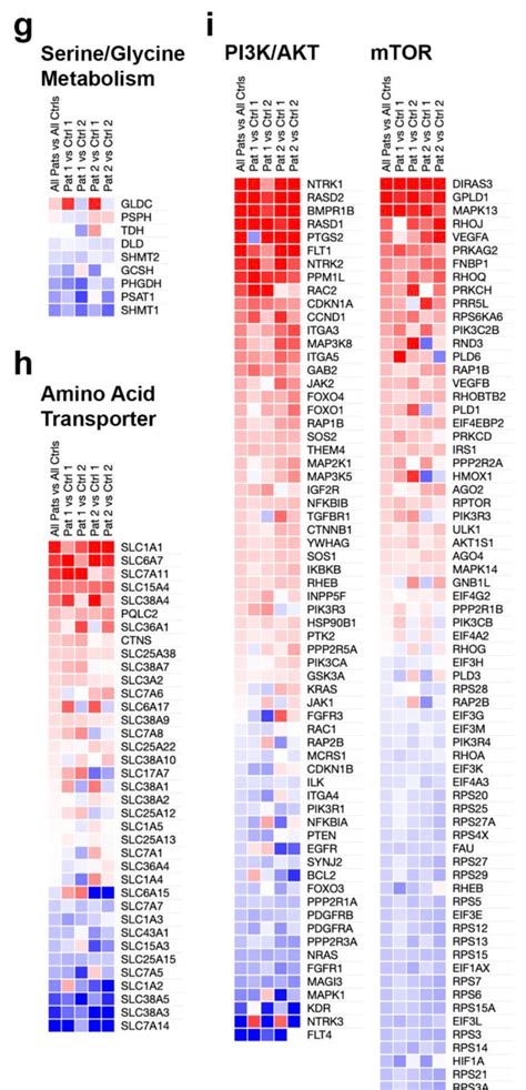 Help With Scrnaseq From Geo Database R Bioinformatics