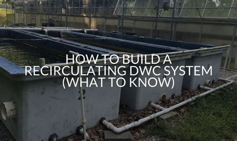 How To Build A Recirculating DWC System What To Know Soak And Soil